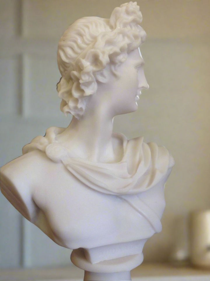 Classic Apollo Belvedere Bust - statues.com